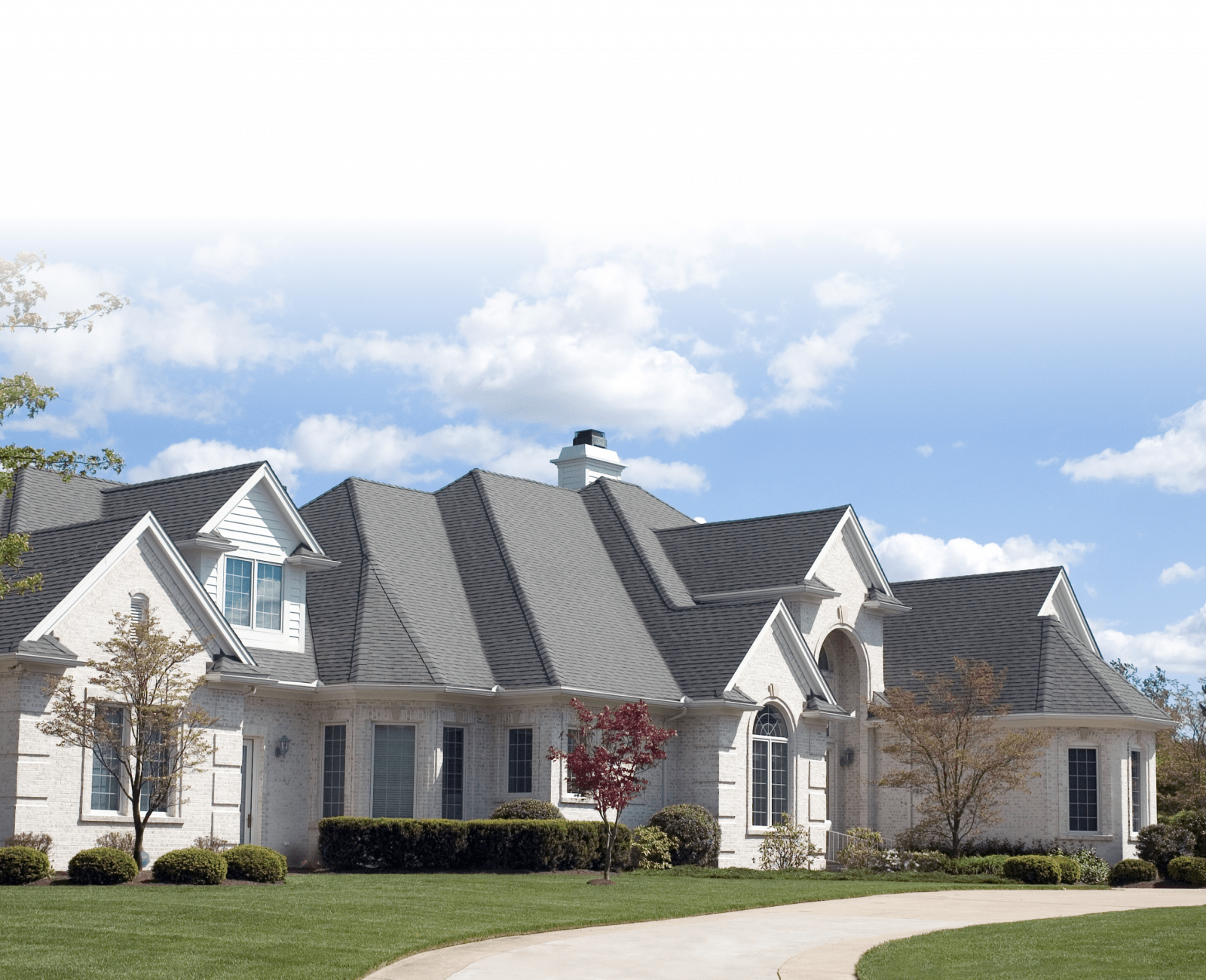 Queen Bee Roofing – Give your Roof the Royal Treatment and Protect What ...