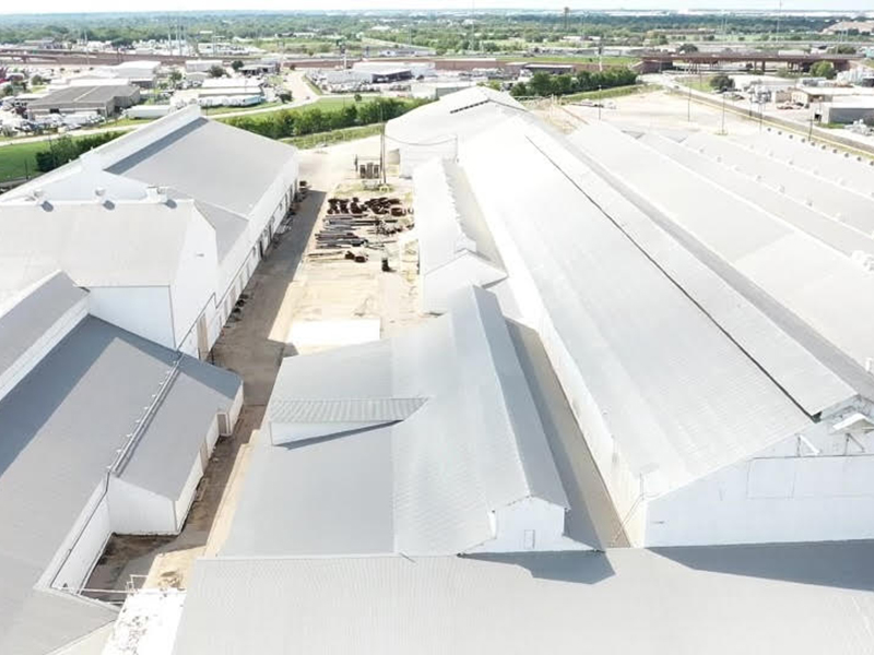 COMMERCIAL ROOFING – Queen Bee Roofing