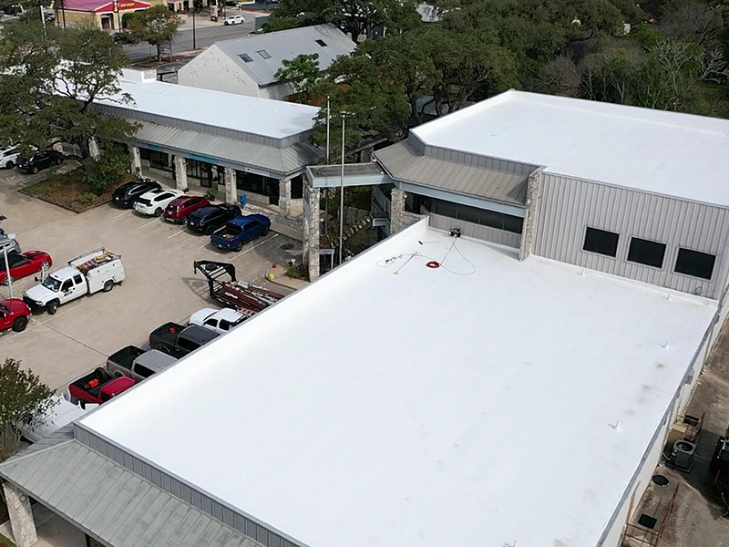 Queen Bee Roofing – Give your Roof the Royal Treatment and Protect What Matters Most